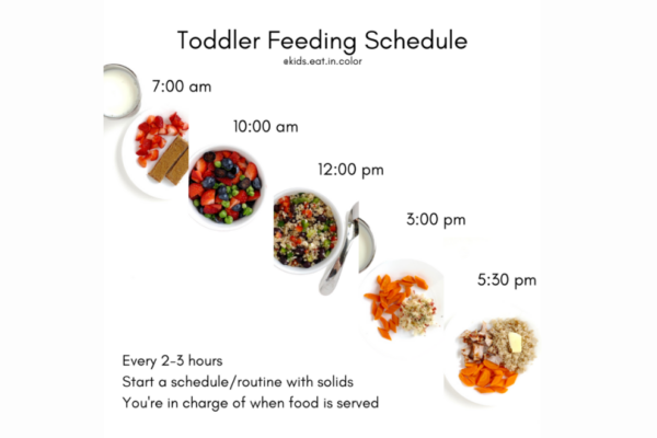 Create Your Toddler’s Feeding Schedule in 5 Steps - Kids Eat in Color