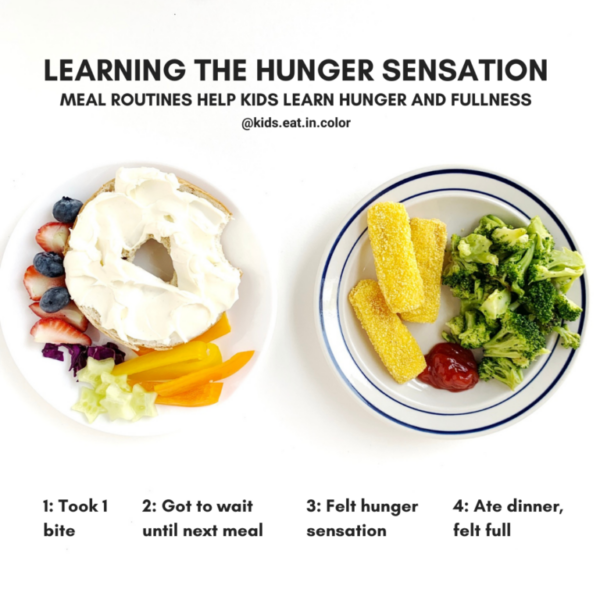 Create Your Toddler’s Feeding Schedule in 5 Steps - Kids Eat in Color