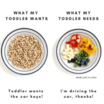 Create Your Toddler’s Feeding Schedule in 5 Steps - Kids Eat in Color