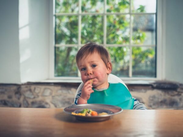 Wondering How To Feed Your Picky Toddler? Here’s The Answer - Kids Eat ...