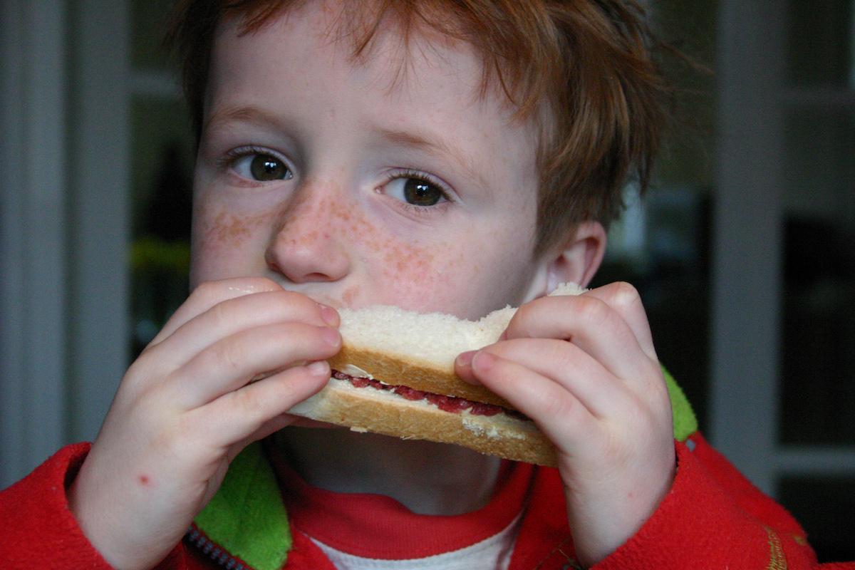 Healthy Lunches for Toddlers: The Ultimate Guide - Kids Eat in Color